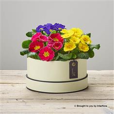 Online Shop - Flowers by Julie Florist Alnwick