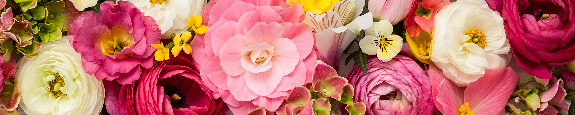 Flowers by Julie Florist Alnwick Order Online 01665 602354